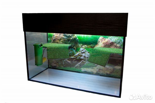 Аквариум, Акватеррариум для черепах