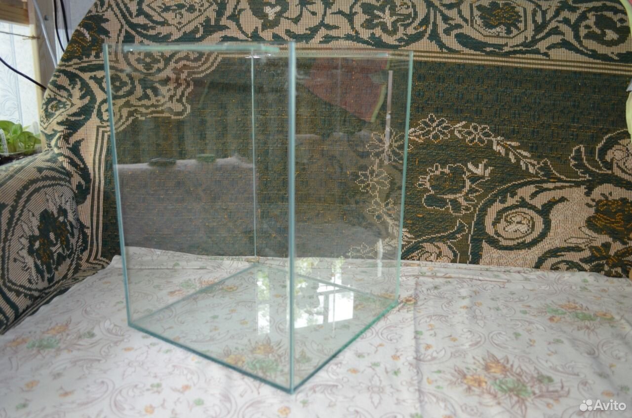 Креветочник