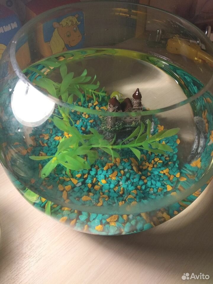 Аквариум с рыбками