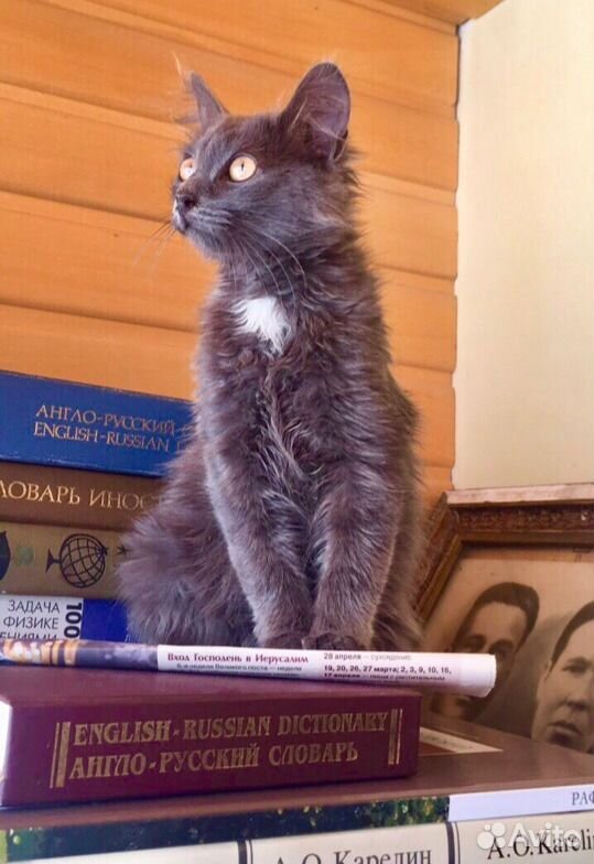 Красивая девочка-подросток ищет дом