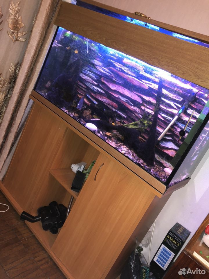 Аквариум