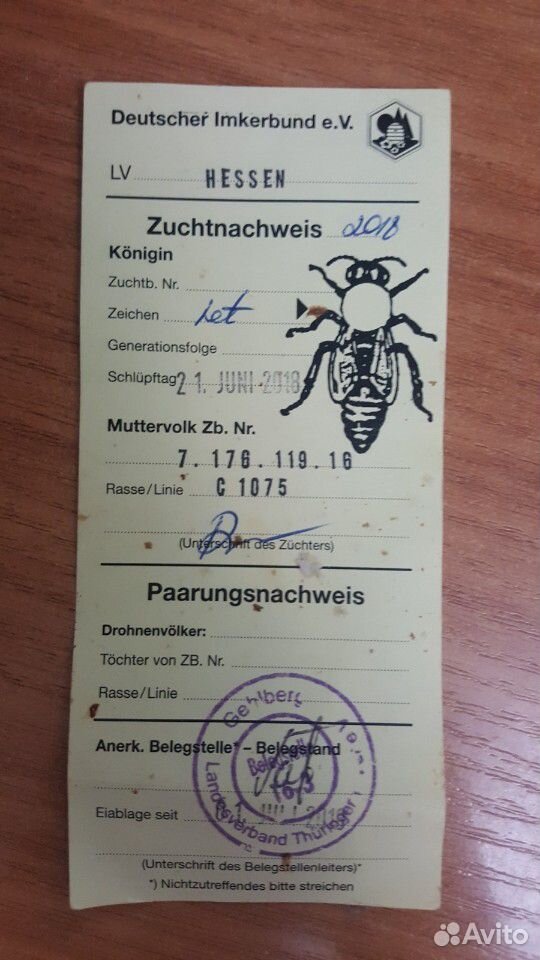 Пчелосемьи,пчелопакеты,отводки