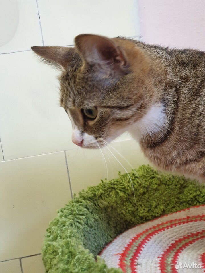 Малена хочет домой