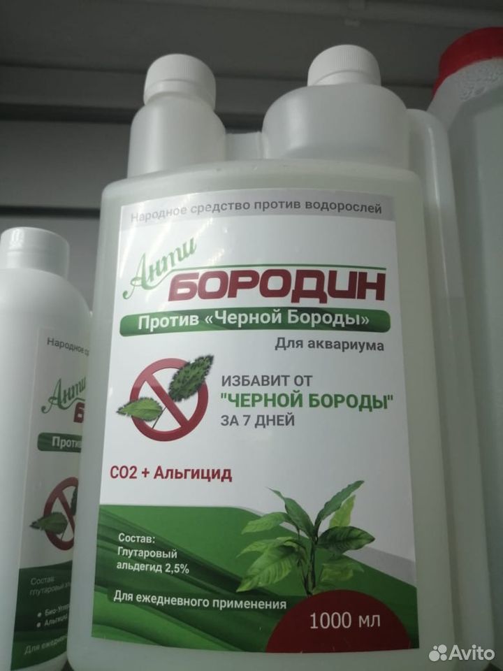 Антибородин против водорослей в аквариуме