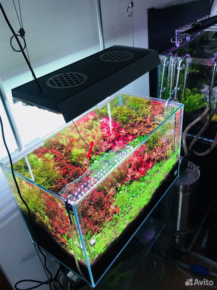 Led светильник chihiros vivid