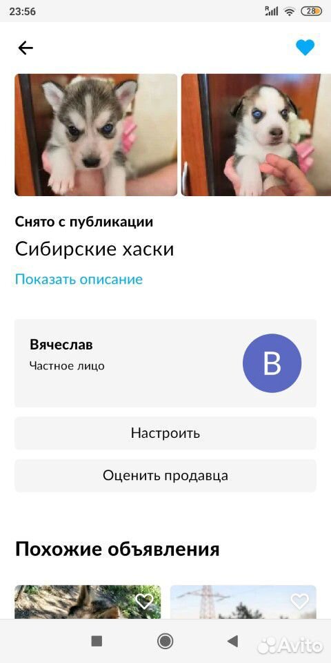 Ищу Владельца