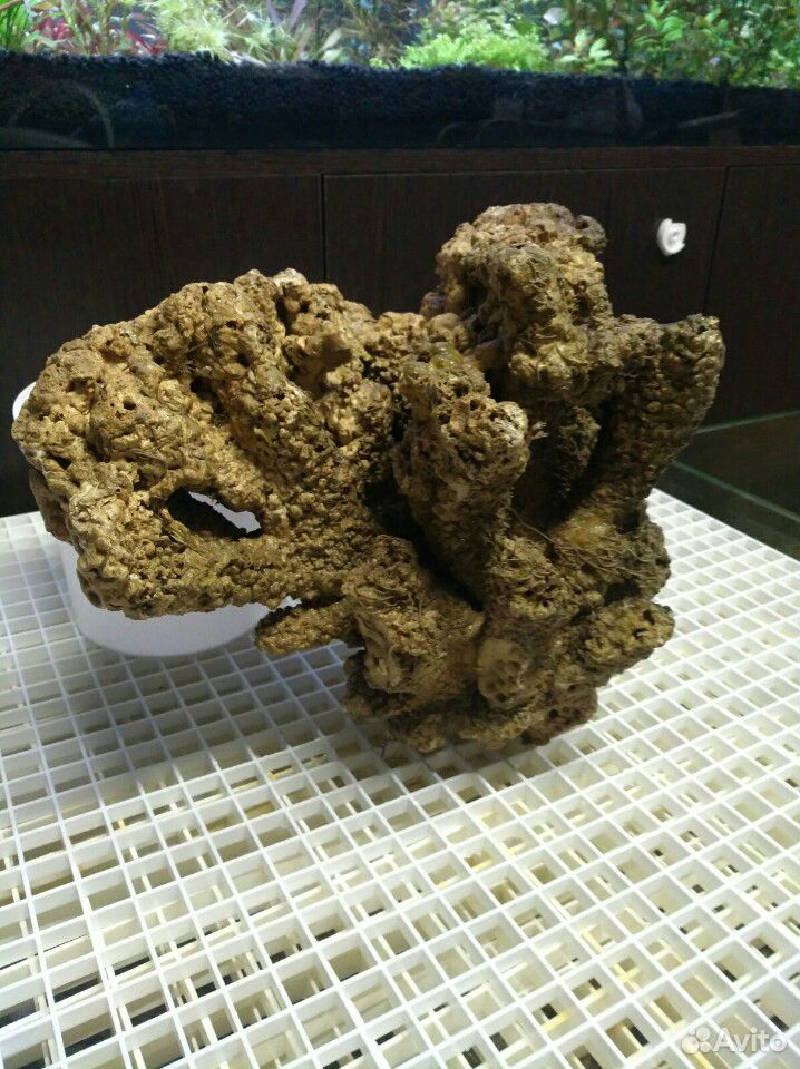Живые камни для морского аквариума