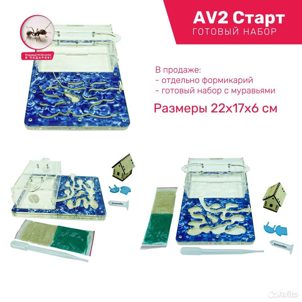 Муравьная ферма «Лагуна»