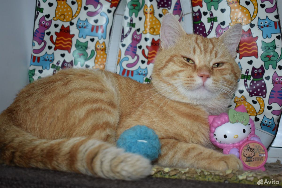 Великолепный Гриша