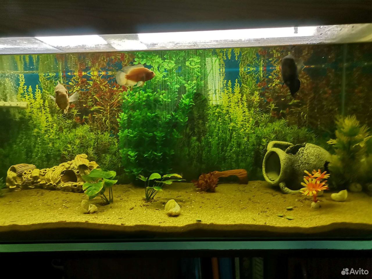Продам аквариум