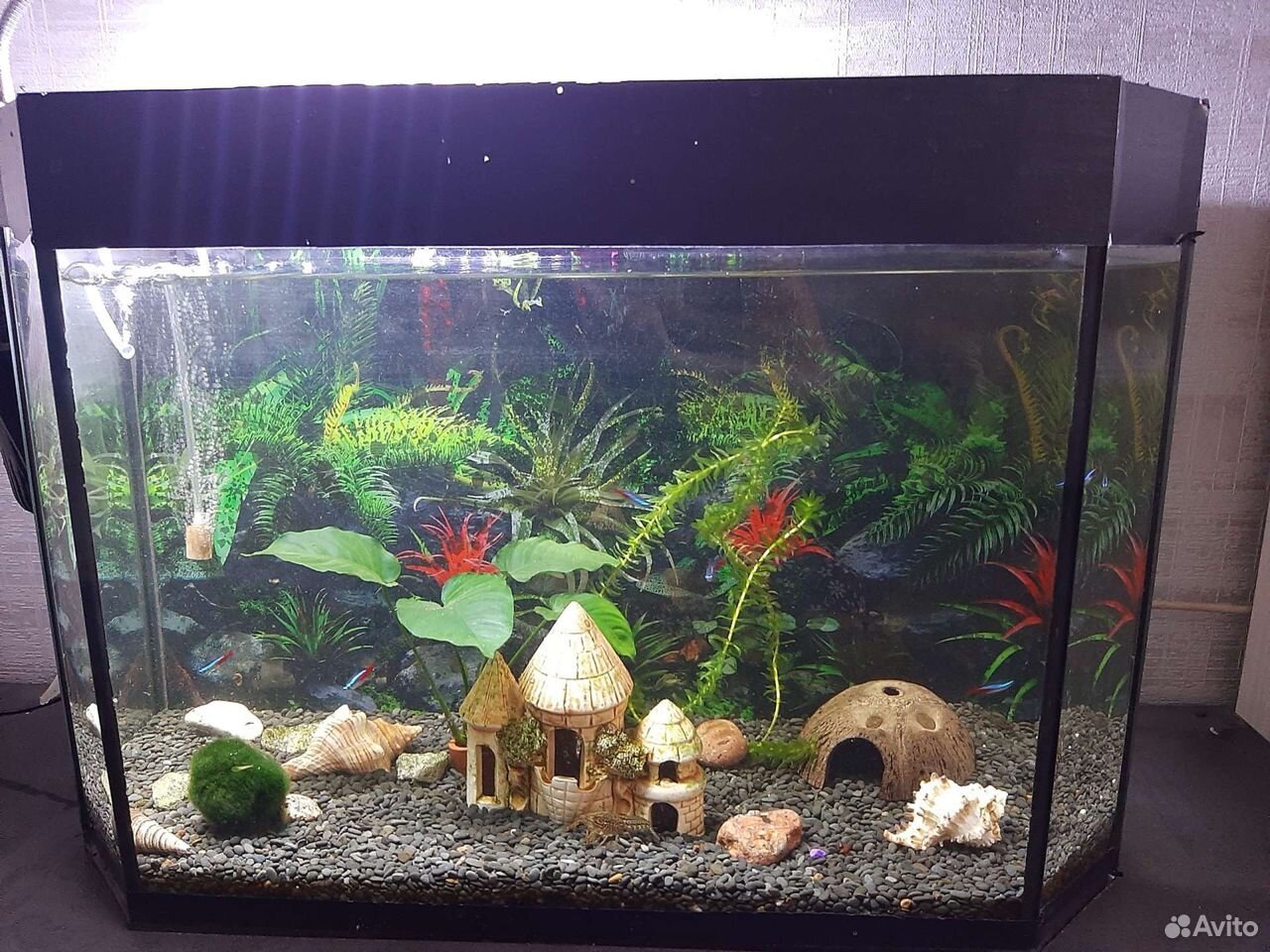 Аквариум
