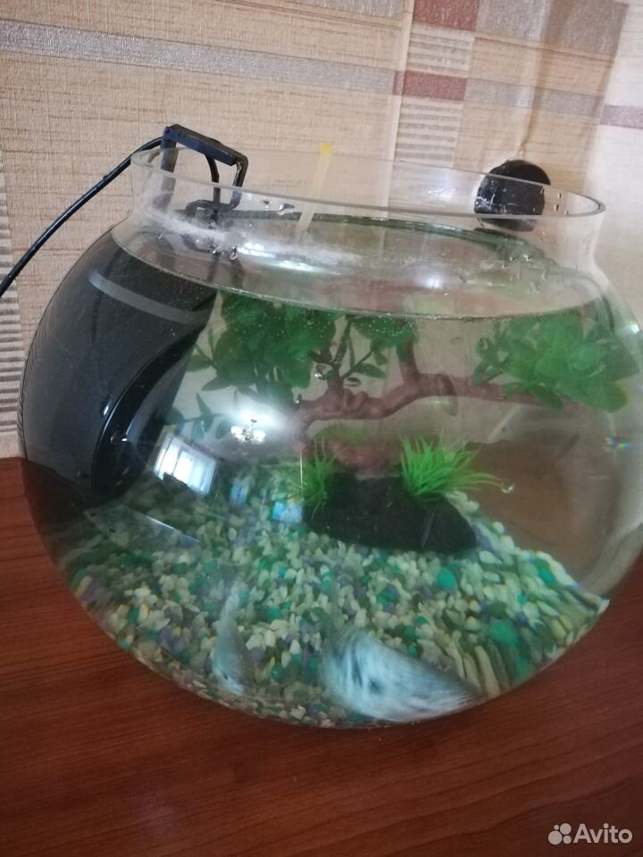 Аквариум