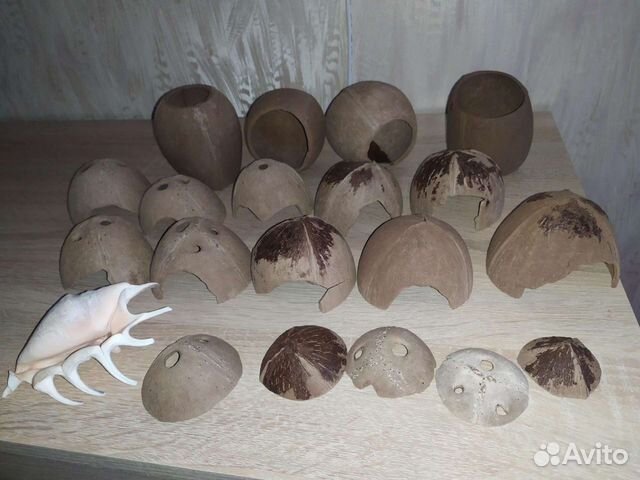 Декор в аквариум (кокосы)
