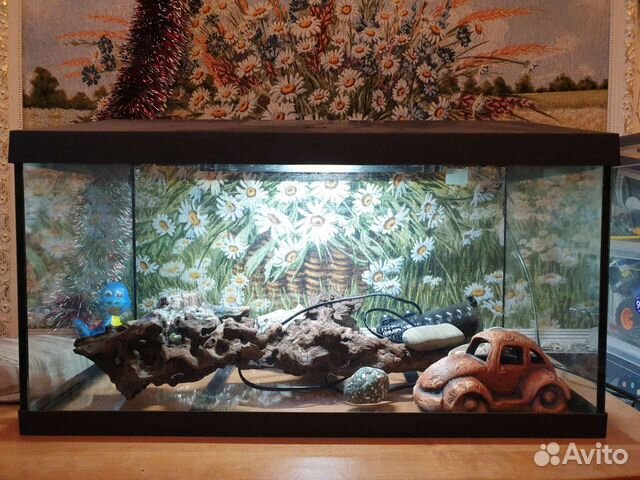 Aquael аквариум полный комплект с аксессуарами