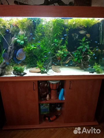 Аквариум