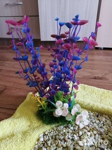 Аквариум всё включено