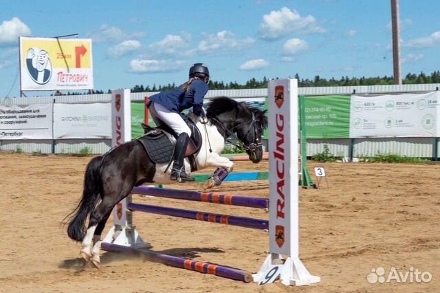 Турнирный пони