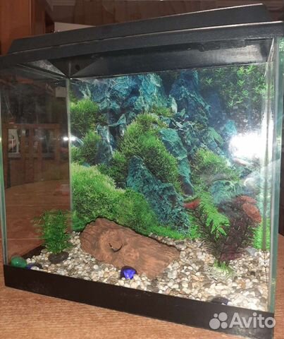 Аквариум