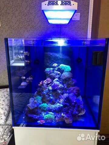 Морской аквариум 250 литров с тумбой и сампом
