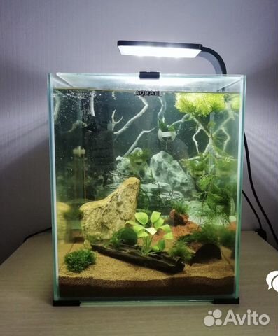 Отзыв: Аквариум Aquael Shrimp Set 10 leddy tube