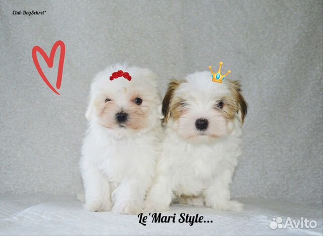 Очаровательные малыши