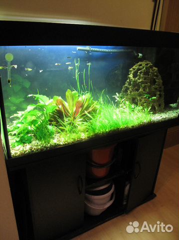 Аквариум Juwel Rio 300 с тумбой. б/у