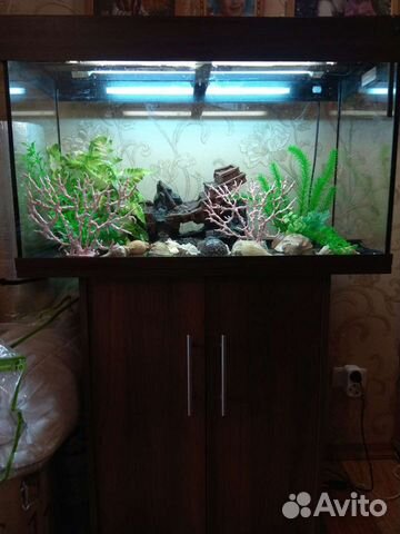 Аквариум