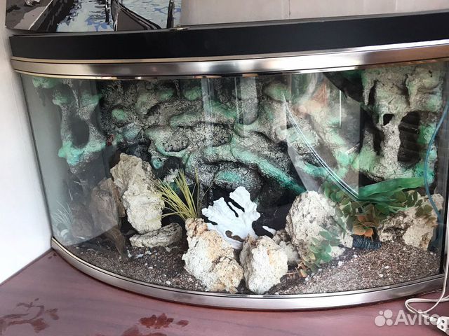 Аквариум понорамник