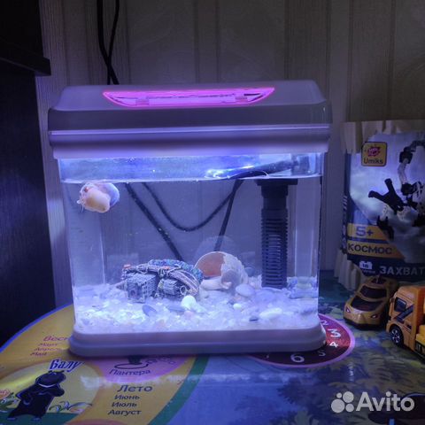 Аквариум для петушка