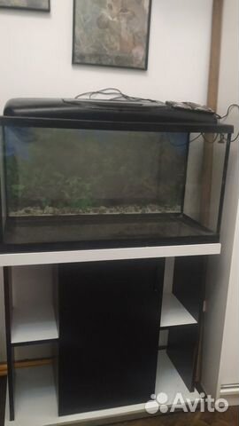 Аквариум 100л с тумбой и оборудованием