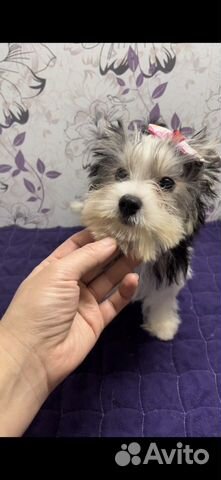 Мальчик, 3,5 мес