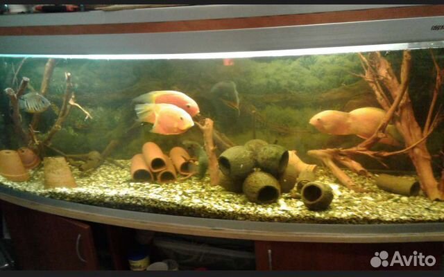 Аквариум 360 л с тумбой