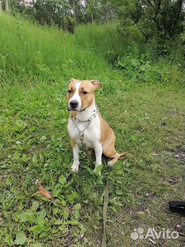 Жюли ищет семью