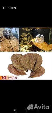 Листья для аквариума