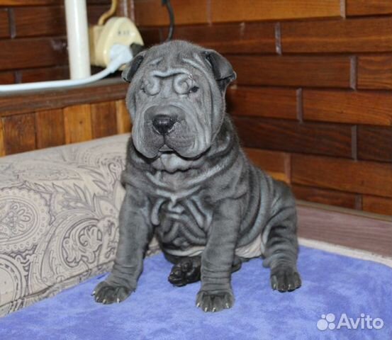 Складочки морщинки