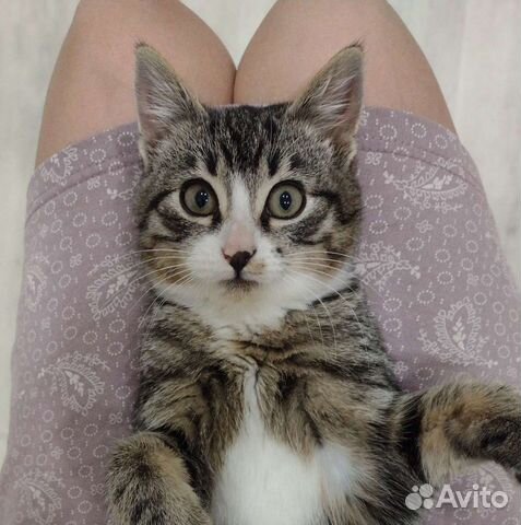 Мальчик 3,5 м