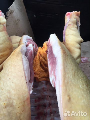 Свиньи на мясо