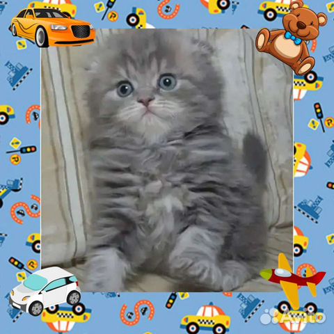 Красавчик Армани)