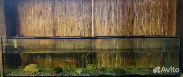 Аквариум на 1250 л. бу