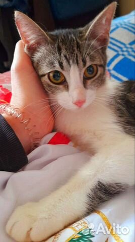 Малыш Тимоша не знает, что дальше будет