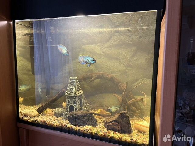 Умный аквариум на 105 литров