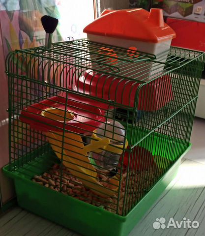 Хомяк с клеткой