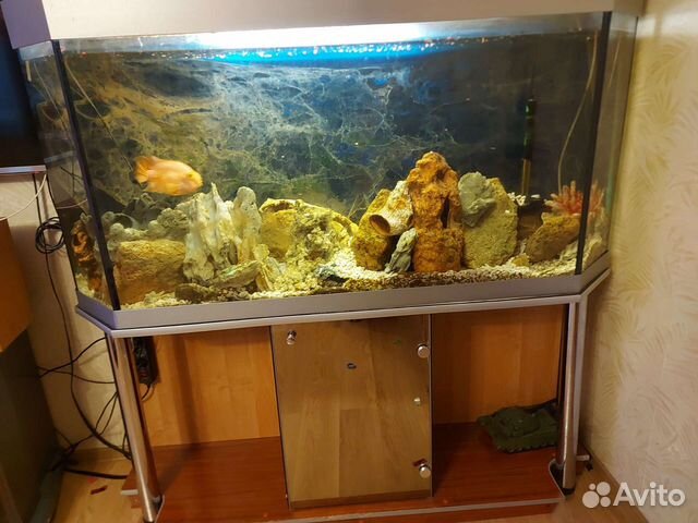 Аквариум с тумбой 480л