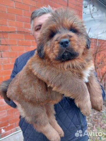 Крутой парень