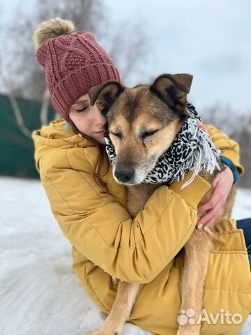 Ласковая девочка в добрые руки