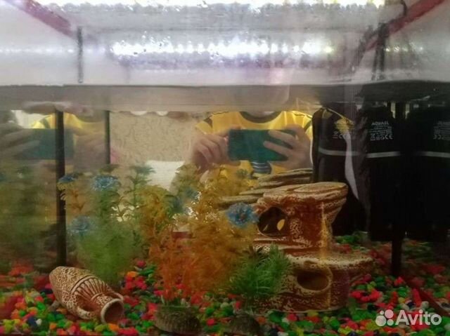 Аквариум