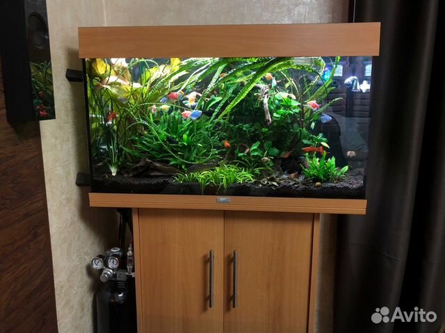 Аквариум 125 литров Juwel с тумбой