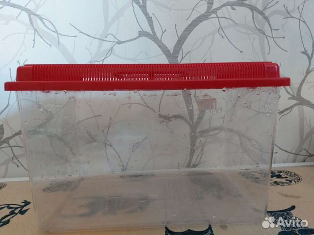 Аквариум террариум (фаунариум) 11 л