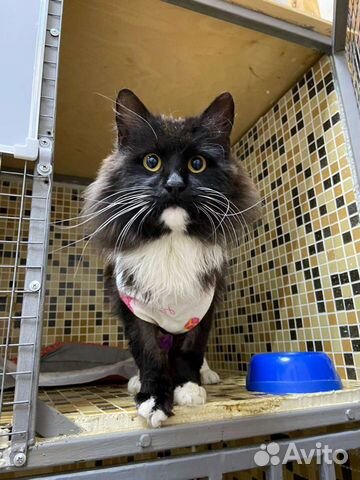 Брутальный мужчина Кузьма