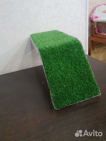 Мостик для черепахи